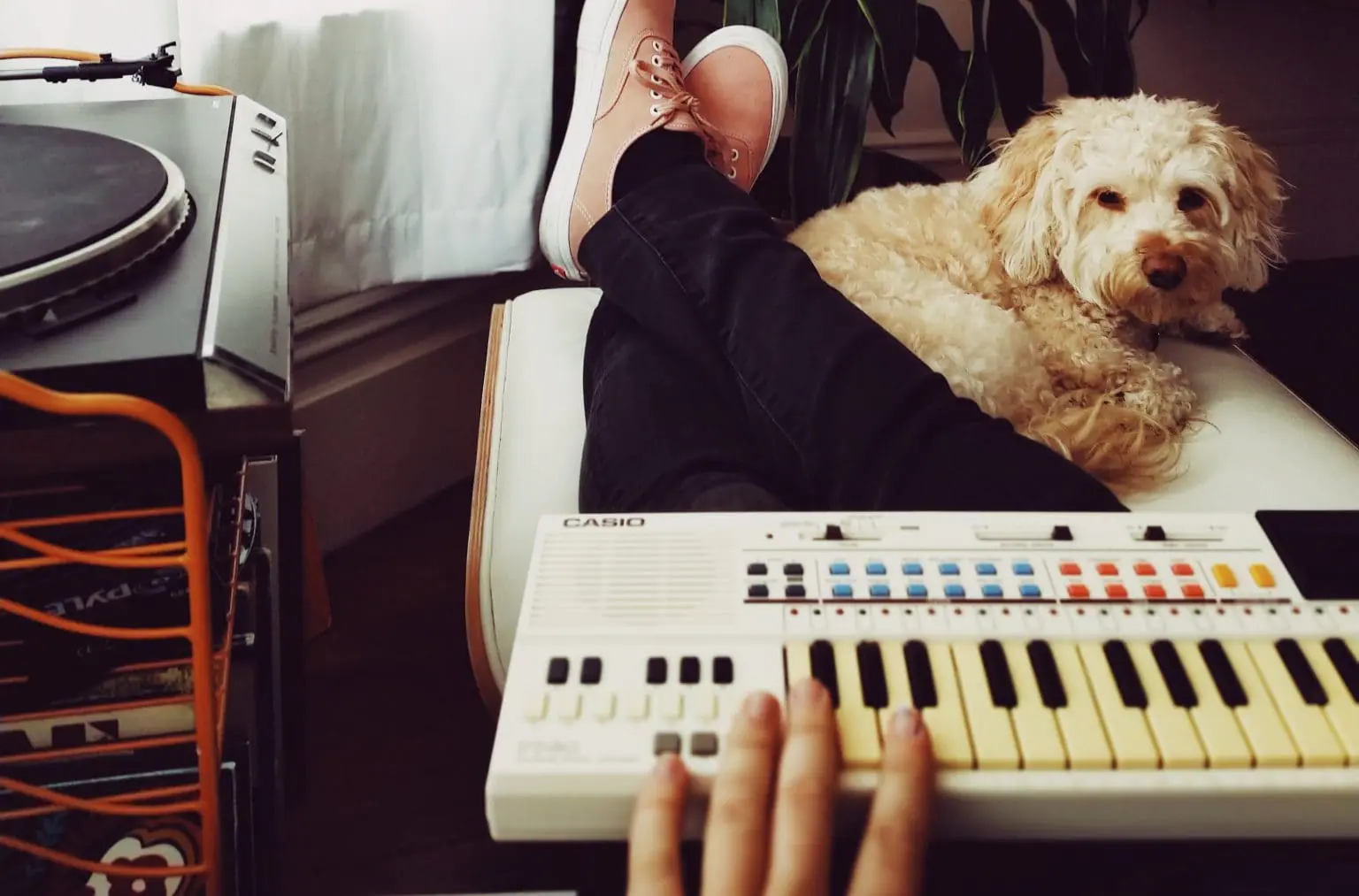 Music Scales: Beginner's Guide to Musical Scales