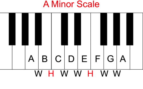 Music Scales: Beginner's Guide to Musical Scales