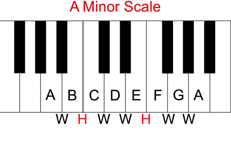 Music Scales: Beginner's Guide to Musical Scales