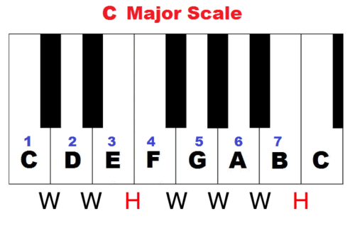 Music Scales: Beginner's Guide to Musical Scales